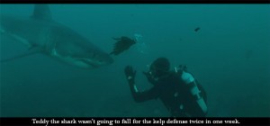 Blu-Ray Review: Dark Tide | CHUD.com