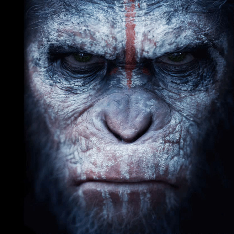 Rise of the Planet of the Apes | CHUD.com